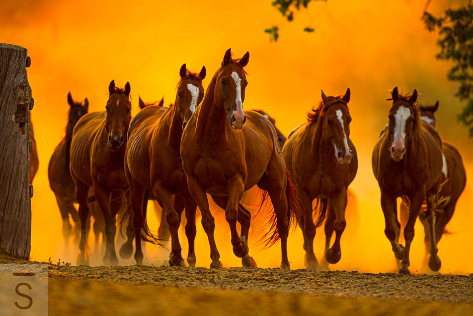 Western Prints - Western Fine Art Photography - Stoecklein Photography