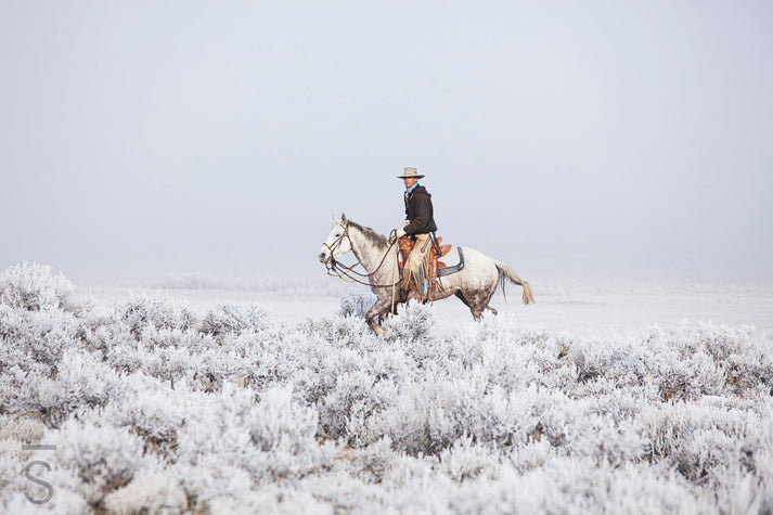 Nevada Frost - Western Fine Art Photography - Stoecklein Photography